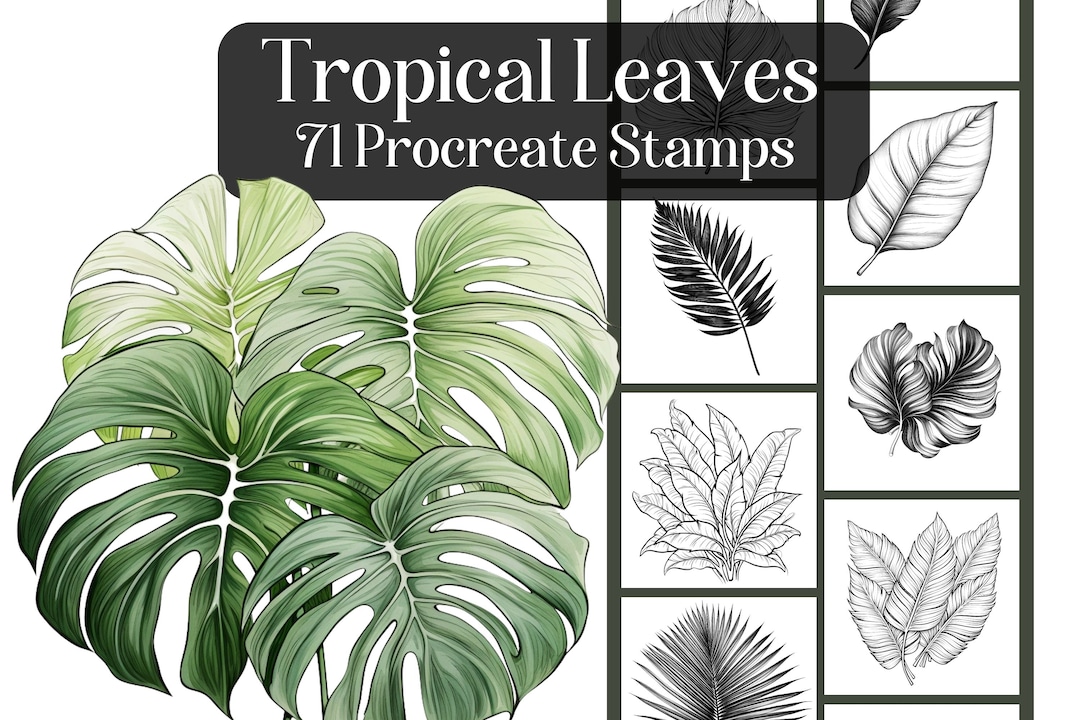 Tropical Leaves, 71 Procreate Stamps, Realistic Leaves Brushes for ...
