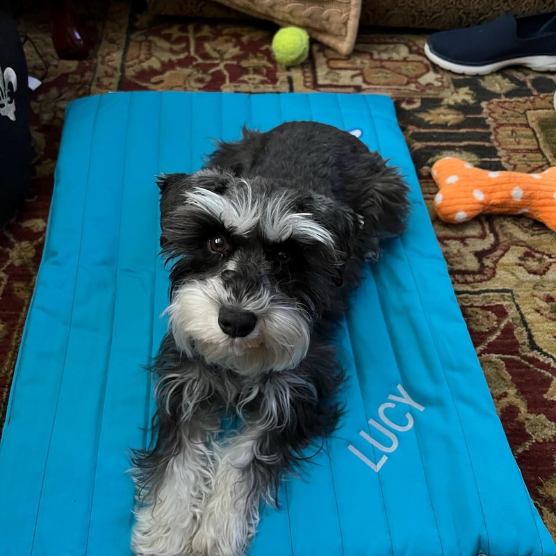 Dog Travel Mats - Etsy