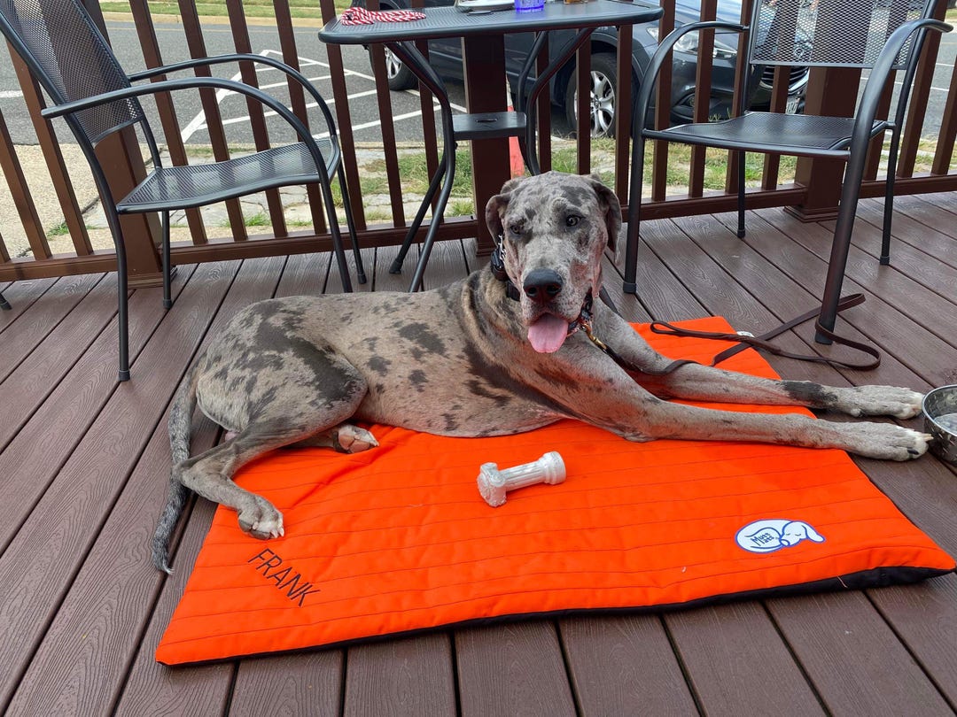 Mutt Mat (dog Travel Mat) - Extra Large 36