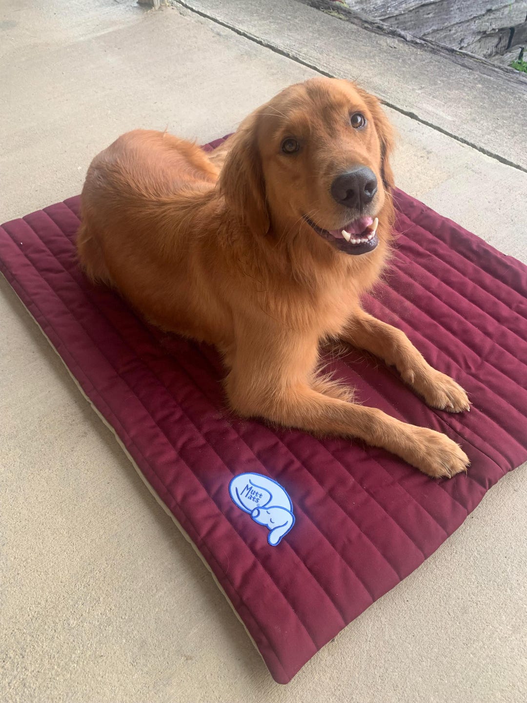 Mutt Mat (dog Travel Mat) - Extra Large 36