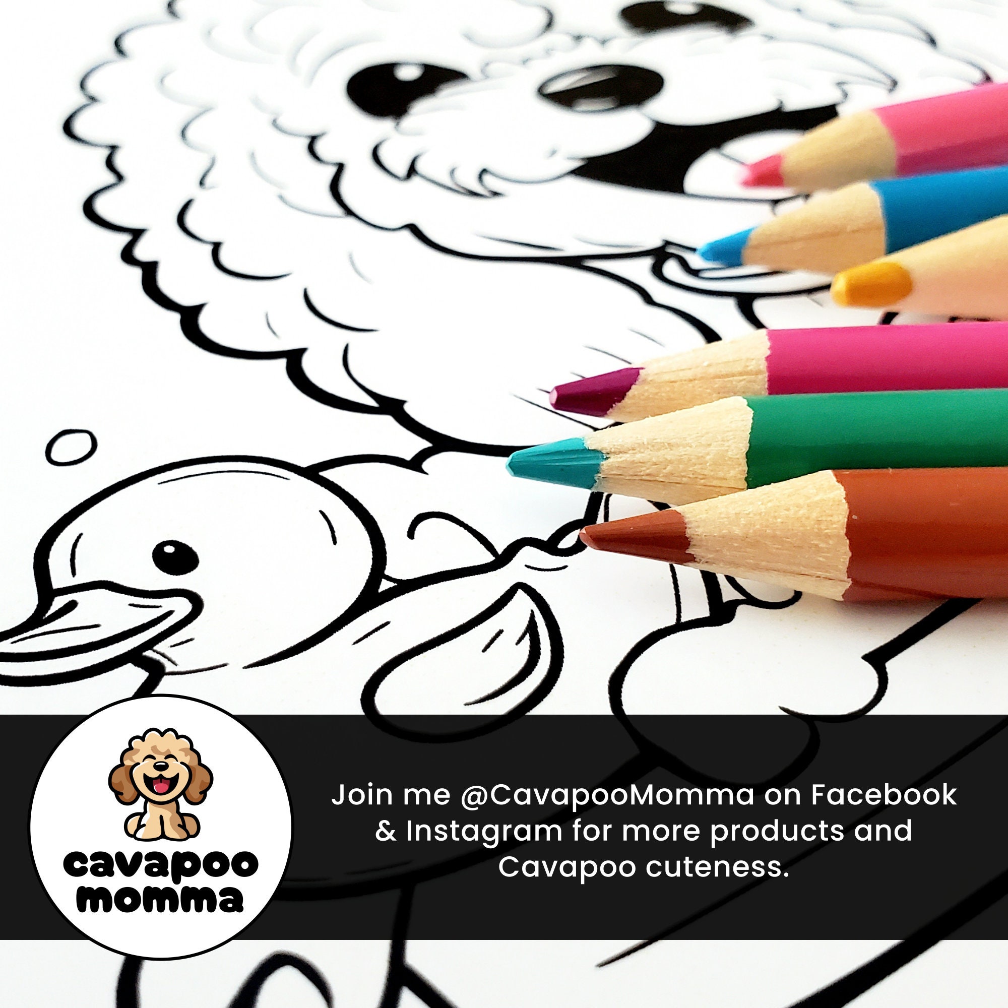 Happy Cavapoo Coloring Pages Digital Download PDF - Etsy