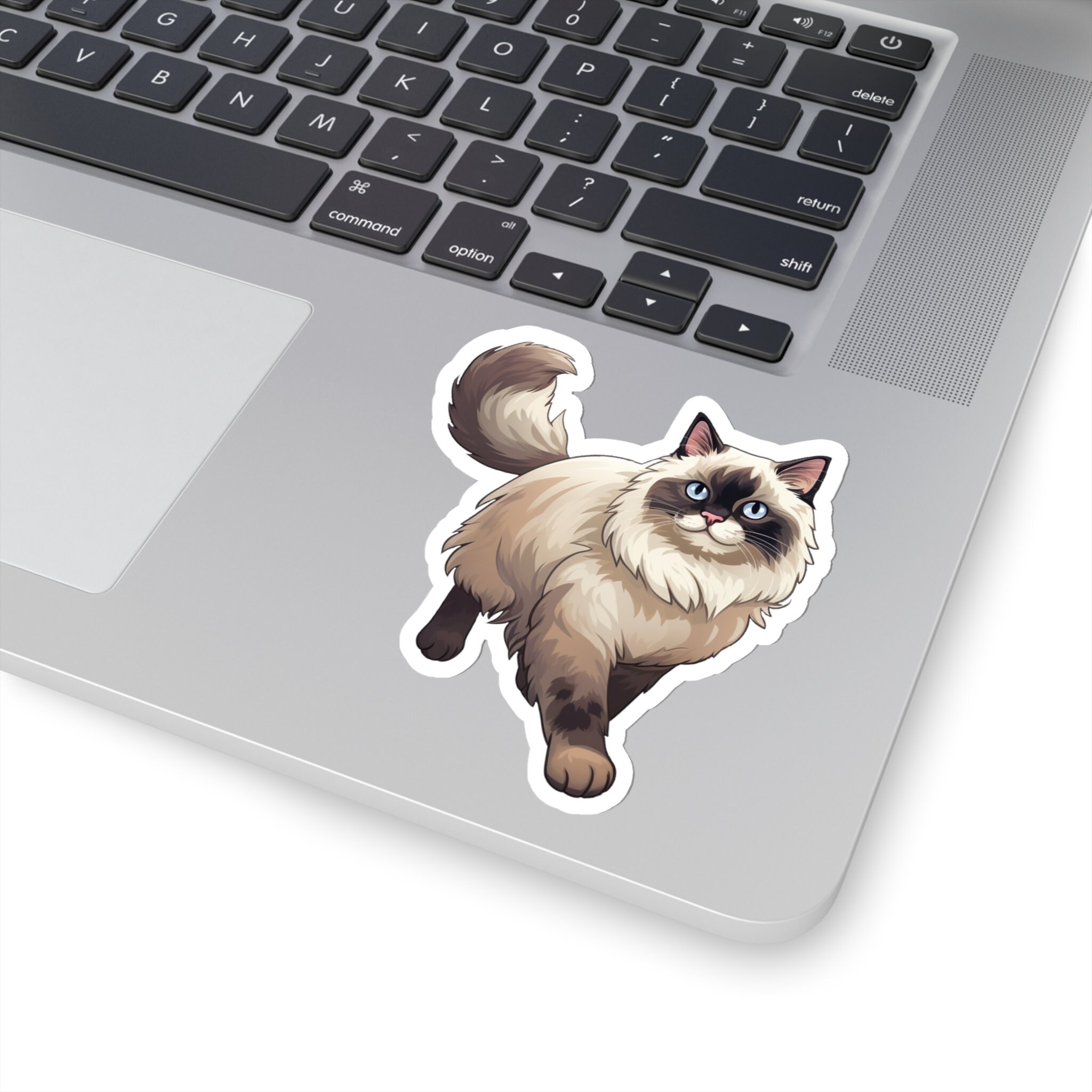 Cute Ragdoll Cat Sticker Illustrated Cat Sticker Funny Cat - Etsy