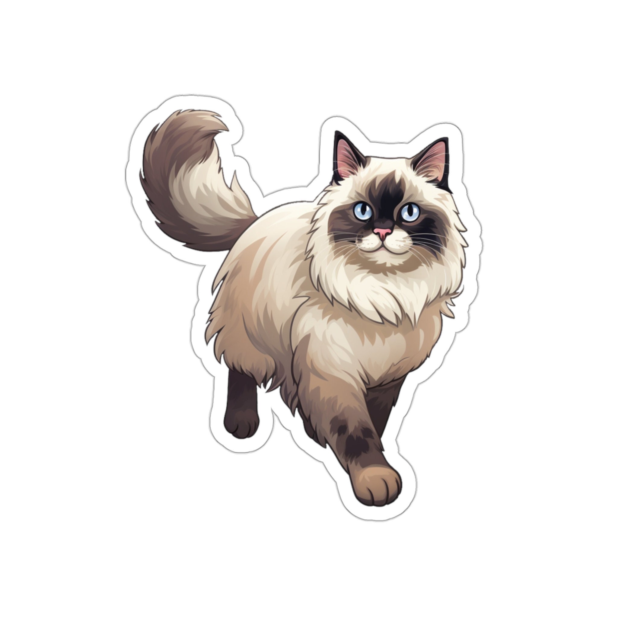 Cute Ragdoll Cat Sticker Illustrated Cat Sticker Funny Cat - Etsy