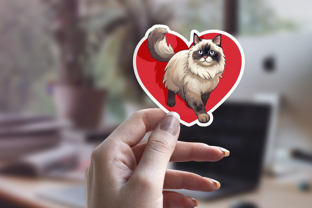Cute Ragdoll Cat Sticker, Illustrated Cat Sticker, Funny Cat Sticker ...