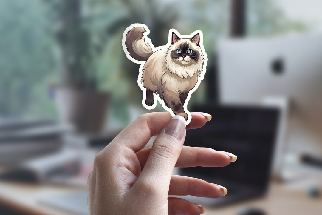 Cute Ragdoll Cat Sticker, Illustrated Cat Sticker, Funny Cat Sticker ...
