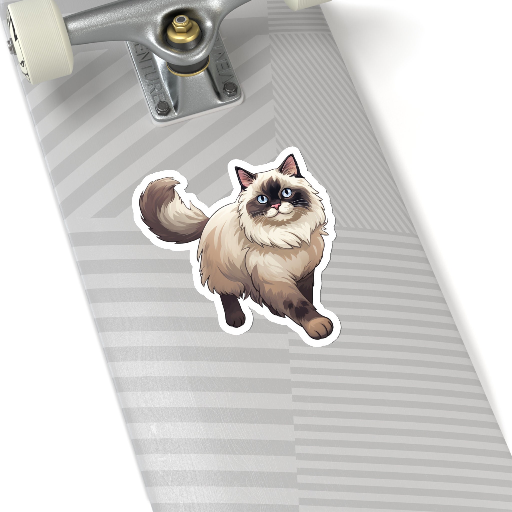 Cute Ragdoll Cat Sticker Illustrated Cat Sticker Funny Cat - Etsy