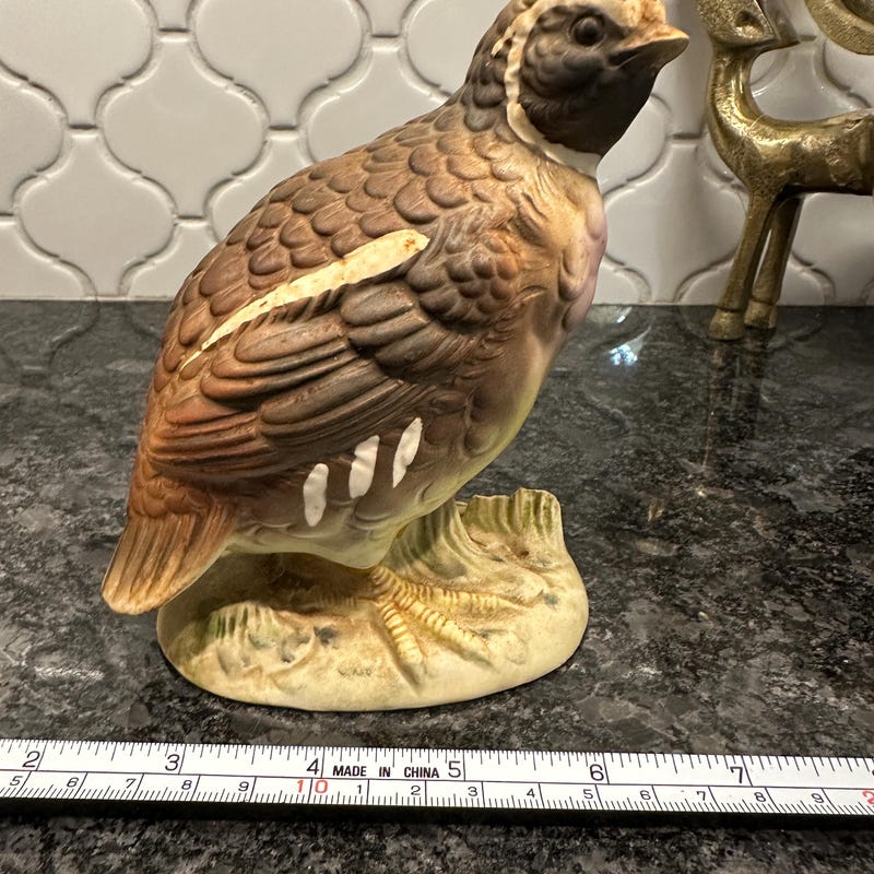 Bob White Quail - Etsy