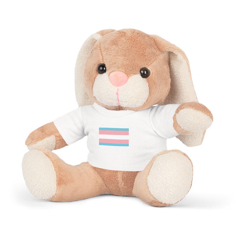 Transgender Plush Toys - Etsy