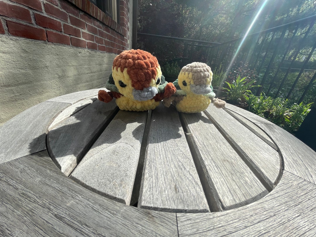 Avatar the Last Airbender Turtle Ducks - Etsy