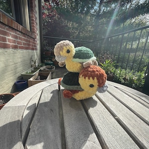Avatar the Last Airbender Turtle Ducks - Etsy