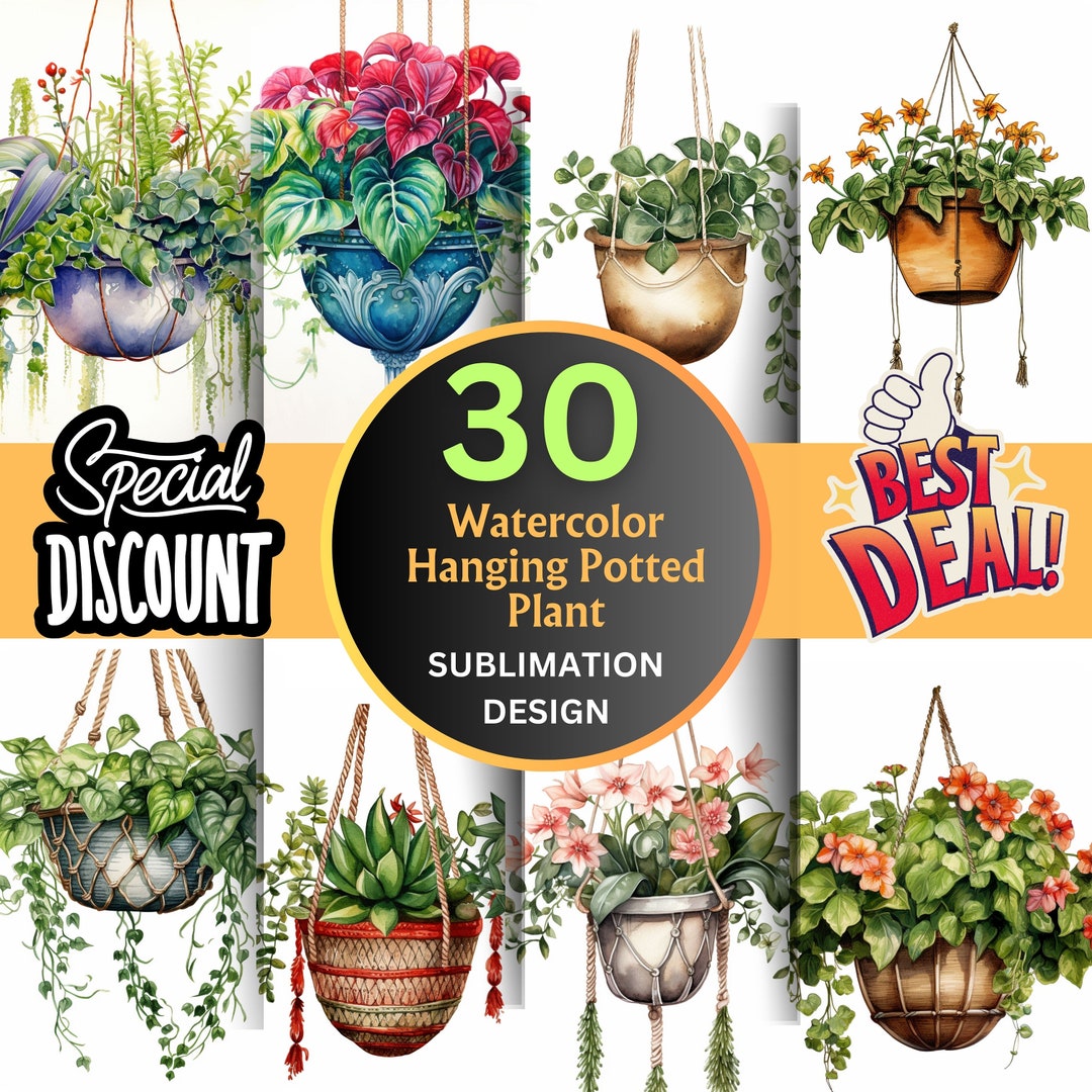 30 Watercolor Hanging Potted Plant Clipart PNG Bundle, Houseplant Water ...