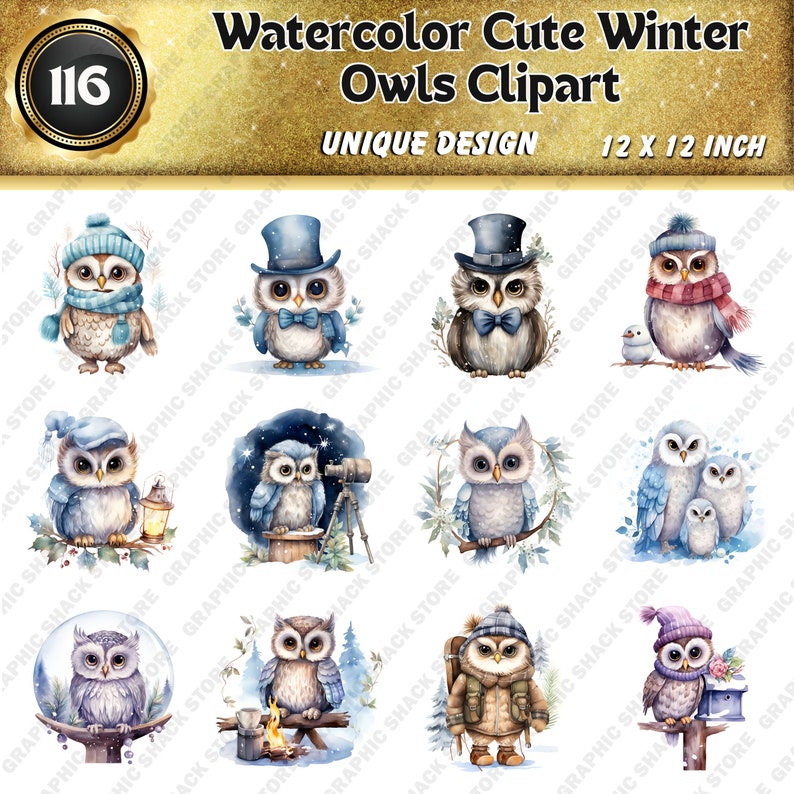 108 Watercolor Cute Winter Owl Cliparts Winter Whimsy Owls - Etsy