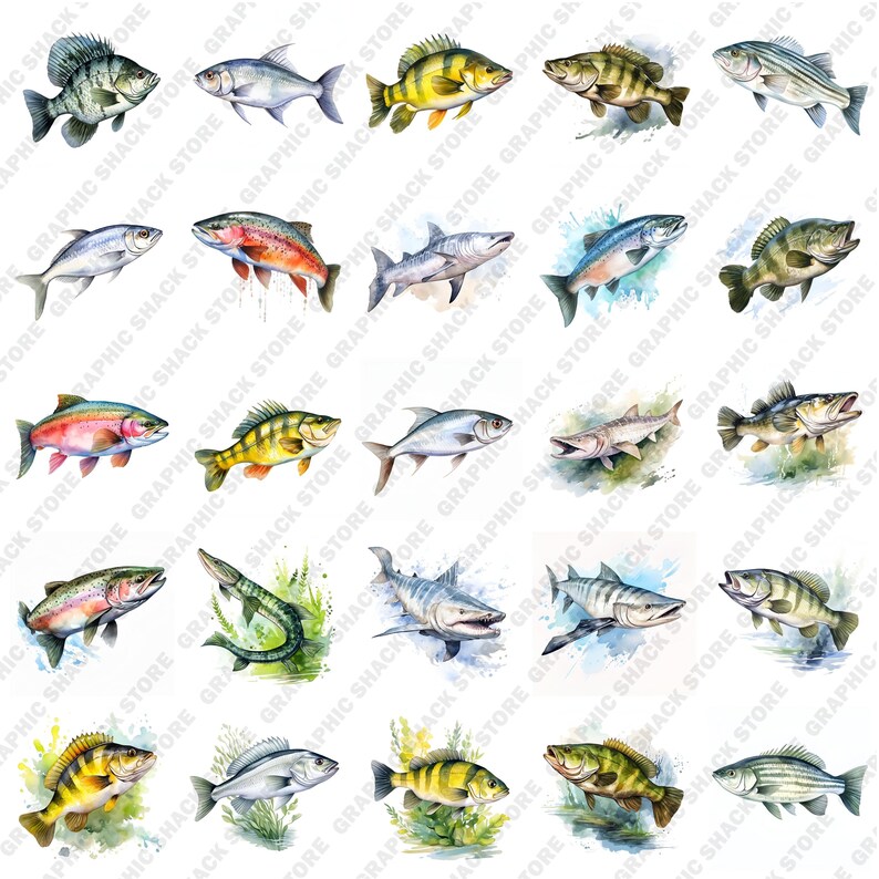 78 Watercolor Freshwater Fish Cliparts, Aquatic Wonders Collection ...