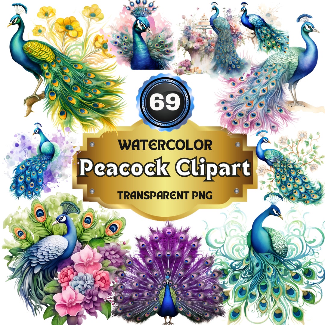 69 Watercolor Peacock Clipart, Majestic Hues Vibrant and Exquisite Bird ...