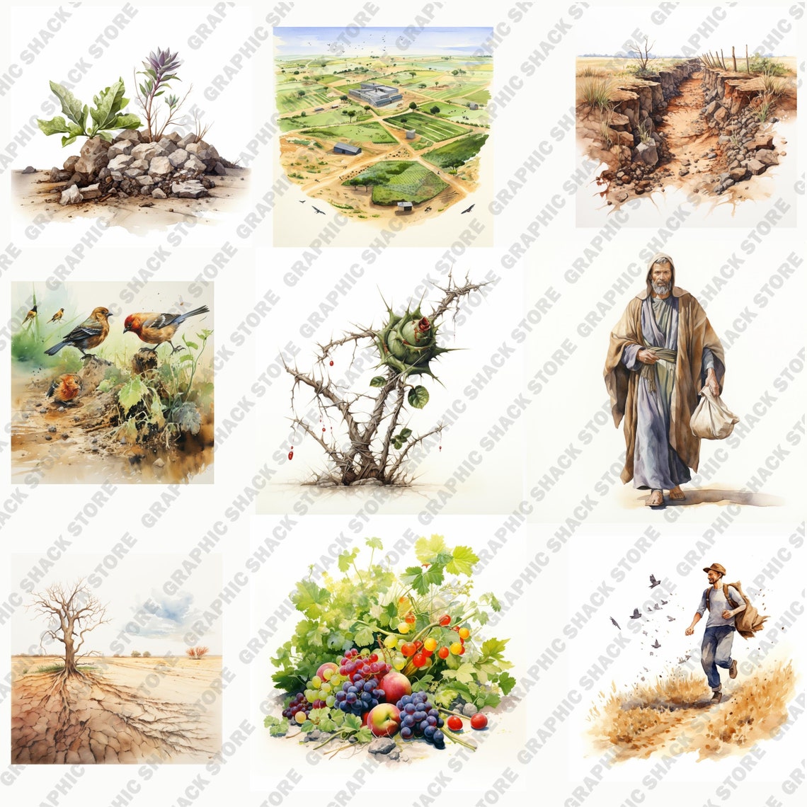 77 PNG Watercolor Parable of the Sower Clip Art | Christian Religious ...