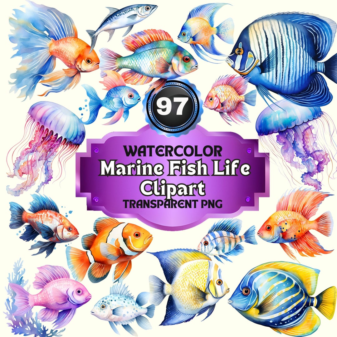 97 Watercolor Marine Fish Life Cliparts, Ocean Wonders PNG Pack Vibrant ...