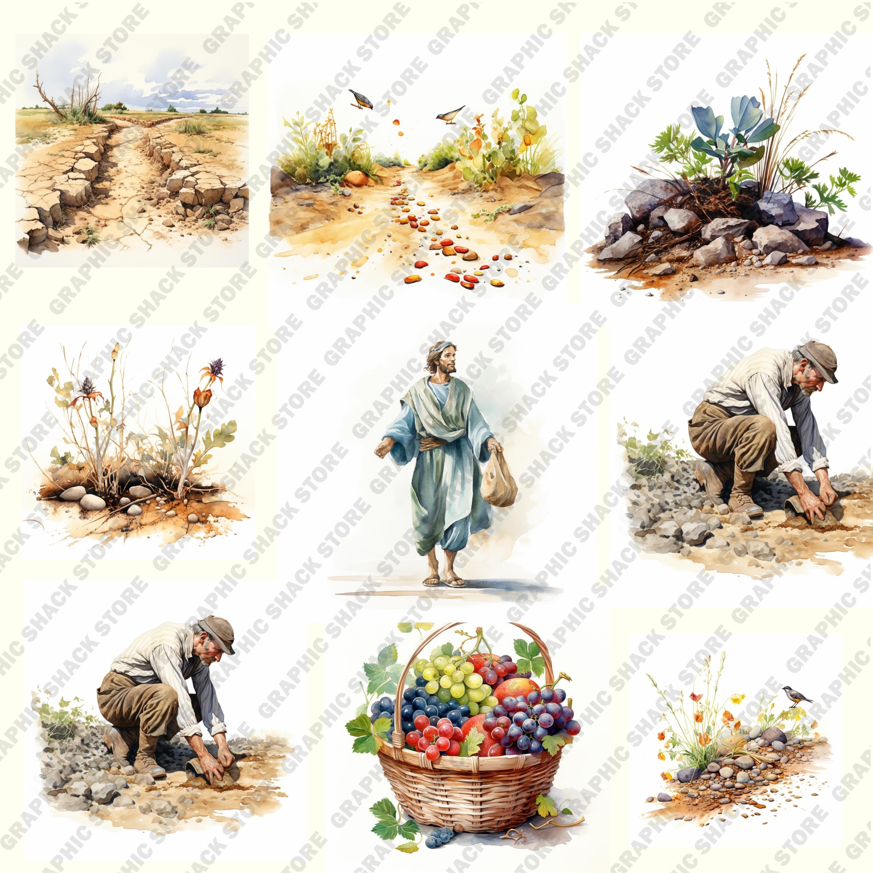 77 PNG Watercolor Parable of the Sower Clip Art | Christian Religious ...