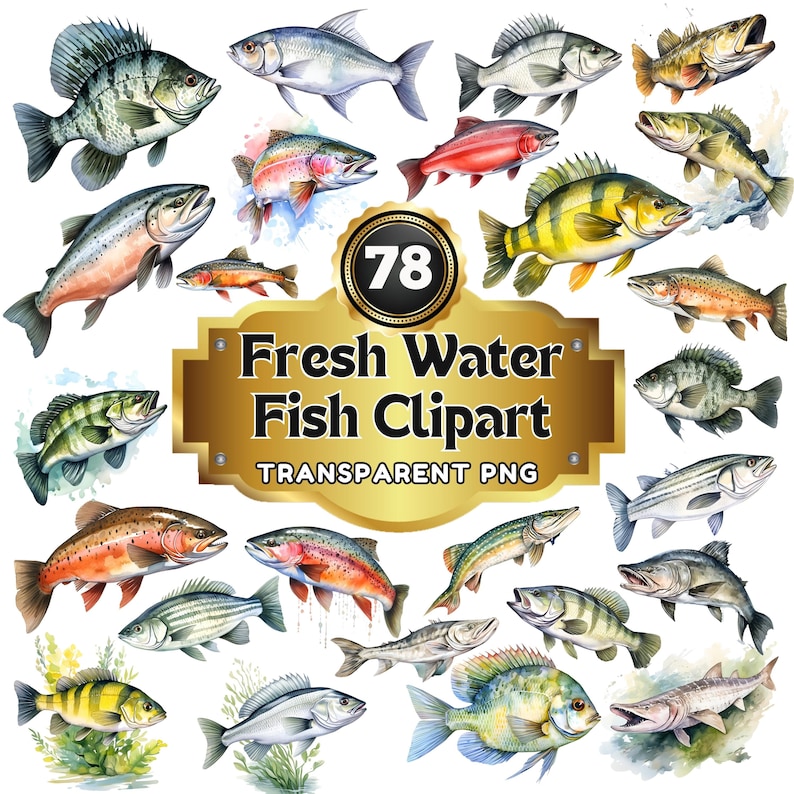 78 Watercolor Freshwater Fish Cliparts, Aquatic Wonders Collection ...