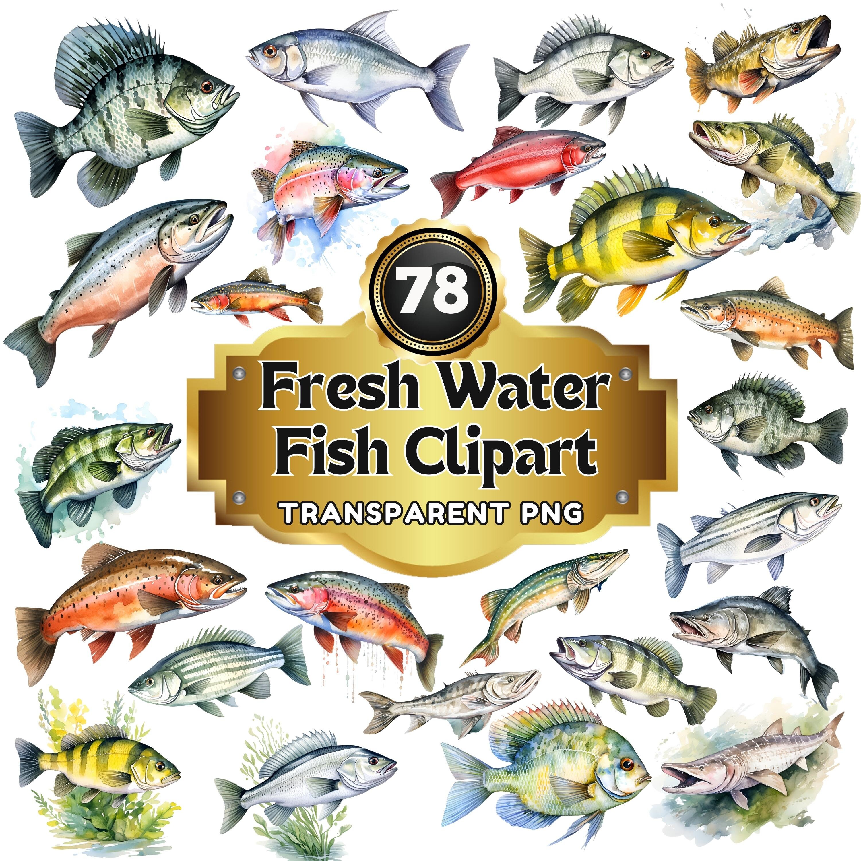 78 Watercolor Freshwater Fish Cliparts, Aquatic Wonders Collection ...
