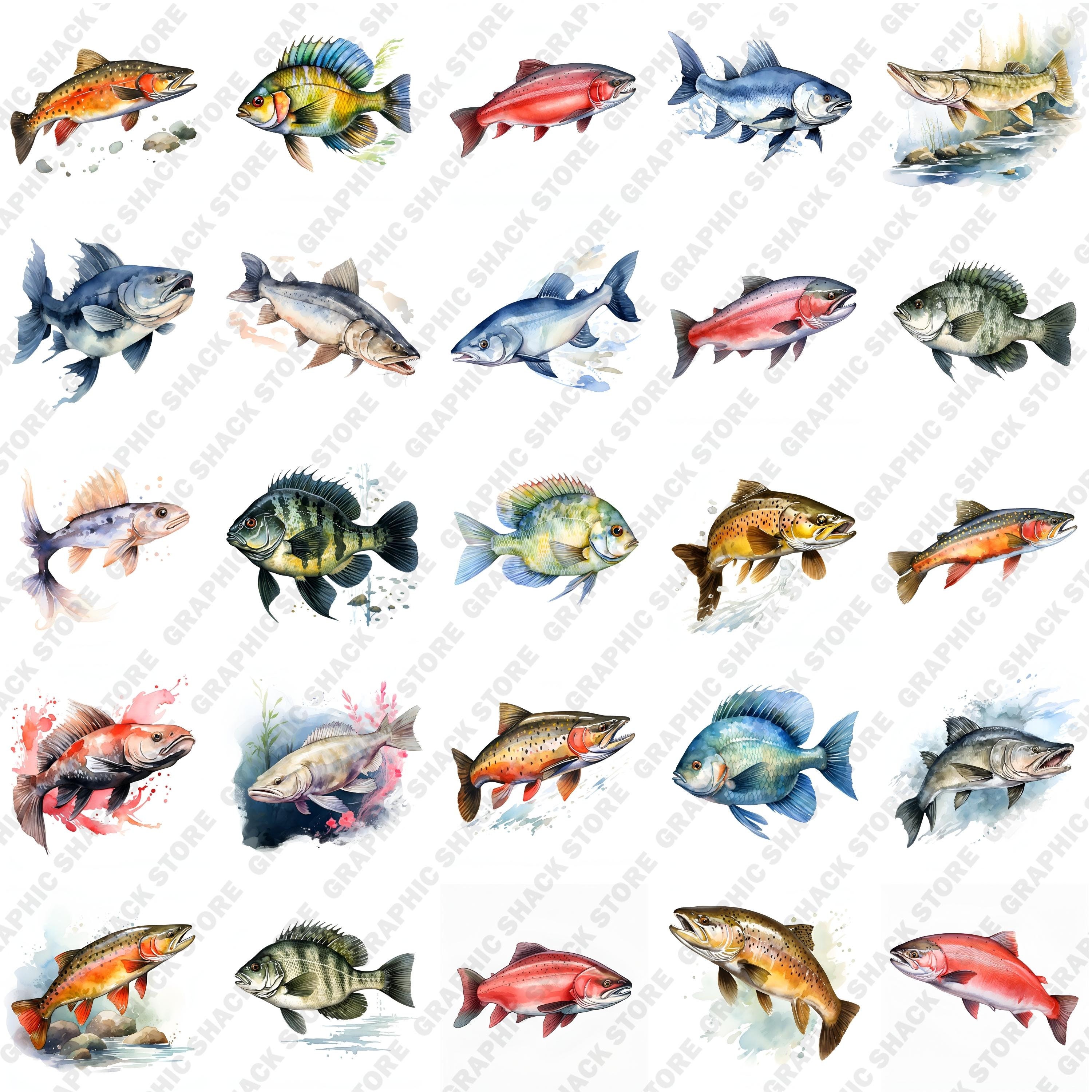 78 Watercolor Freshwater Fish Cliparts, Aquatic Wonders Collection ...