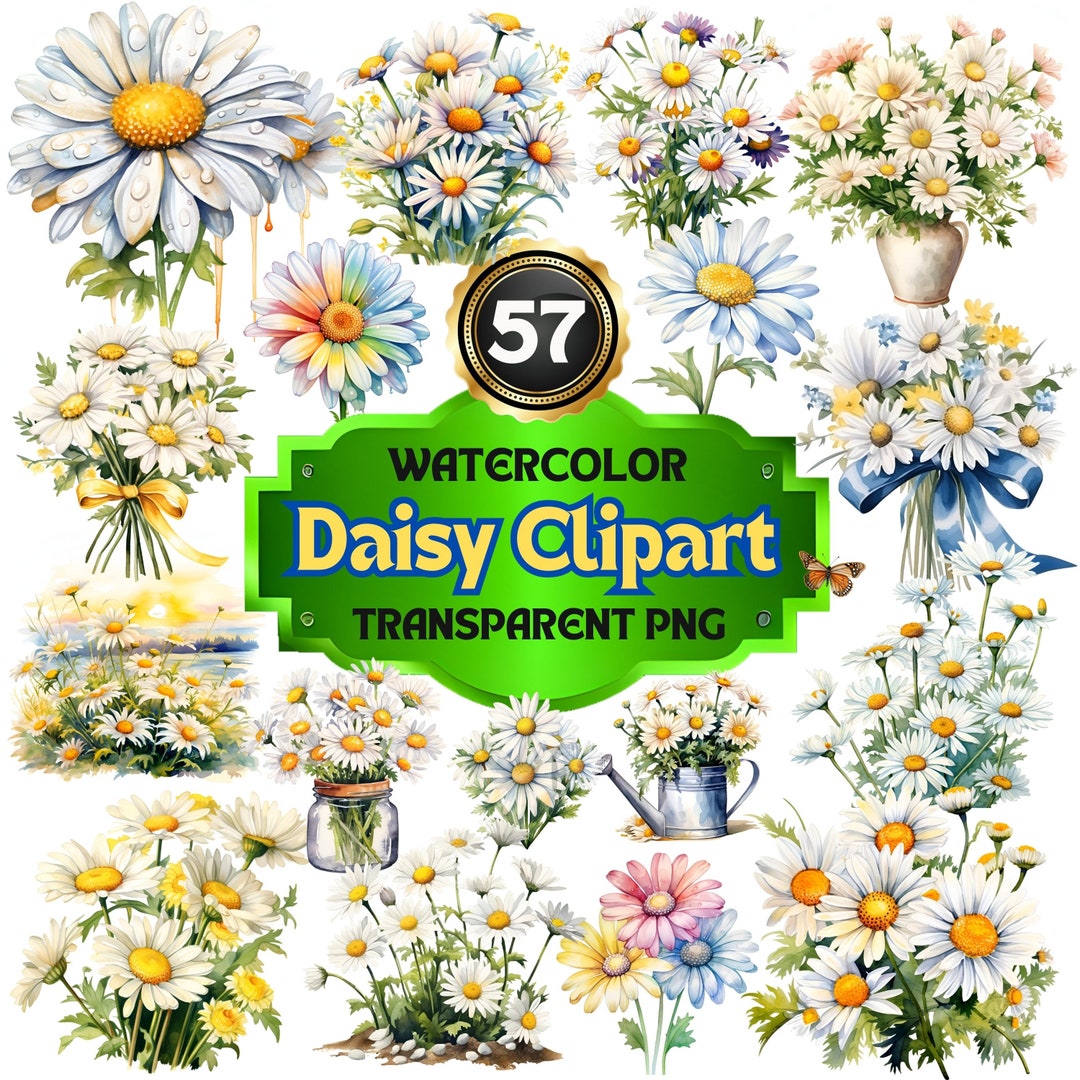 57 Watercolor Daisy Cliparts, Sunshine Blooms Collection: Bright and ...