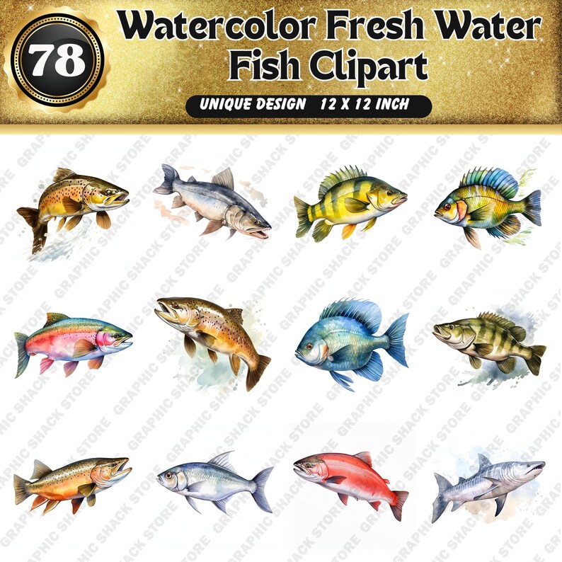 78 Watercolor Freshwater Fish Cliparts, Aquatic Wonders Collection ...