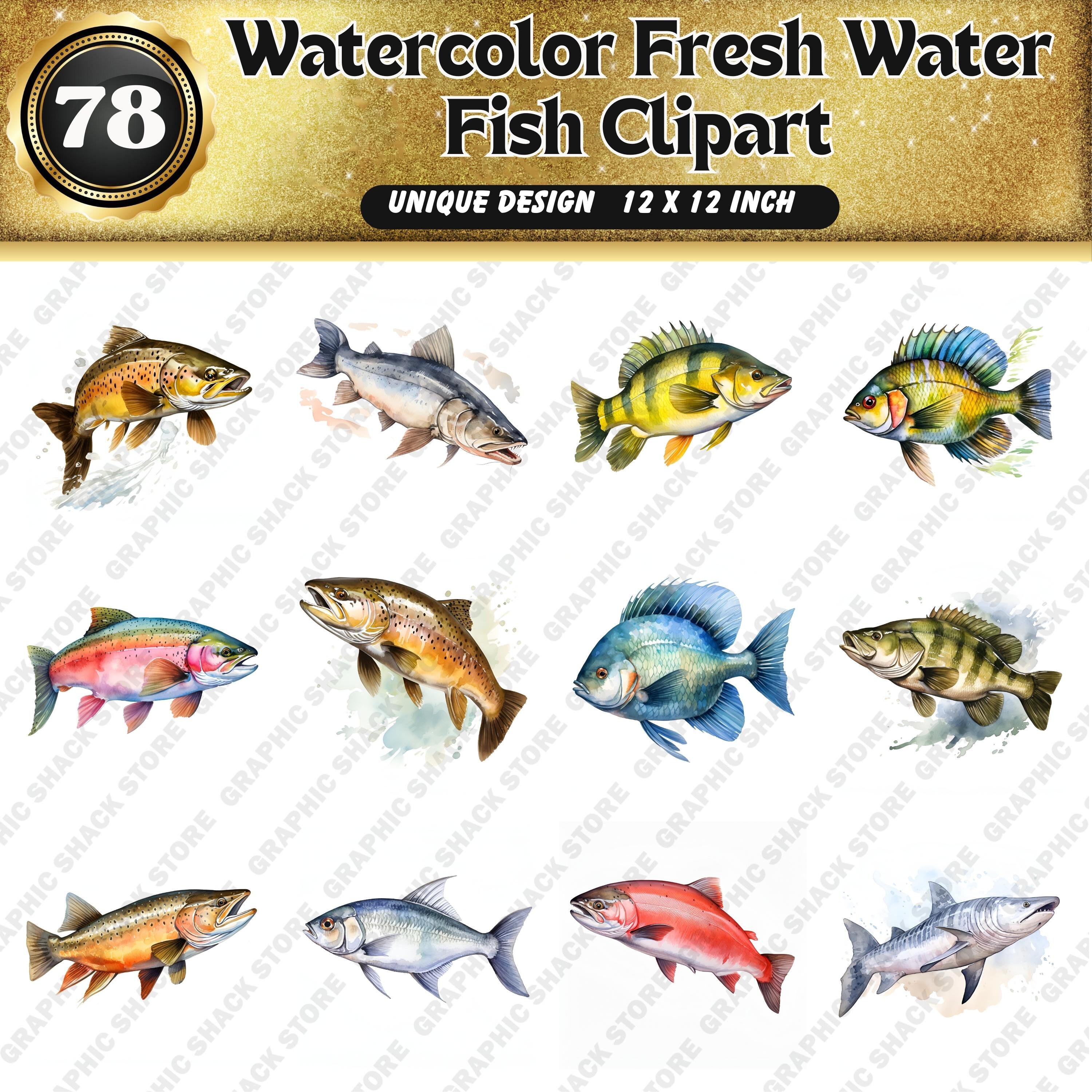 78 Watercolor Freshwater Fish Cliparts, Aquatic Wonders Collection ...
