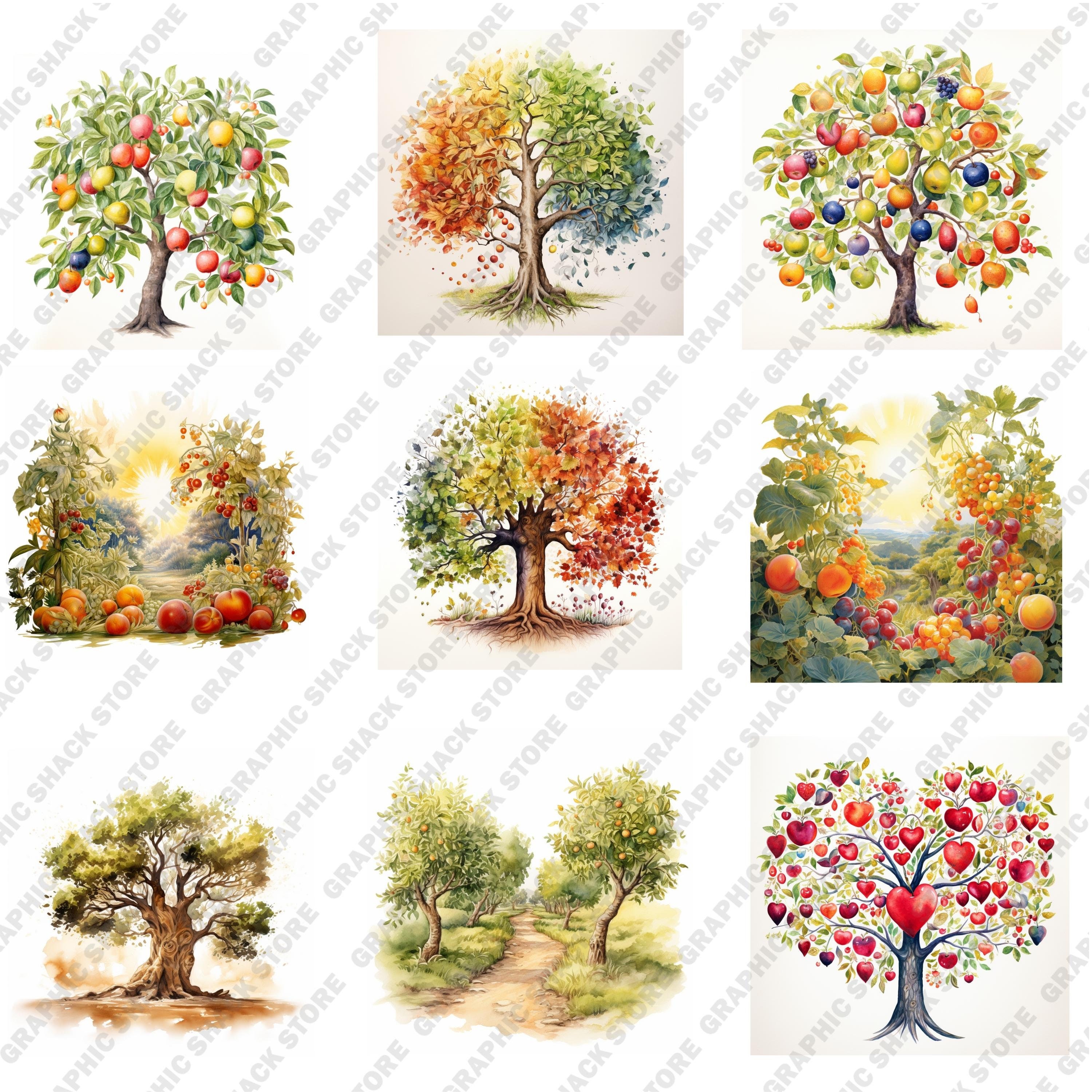 61 Watercolor Fruit of the Spirit Clipart Christian Religious Bible ...
