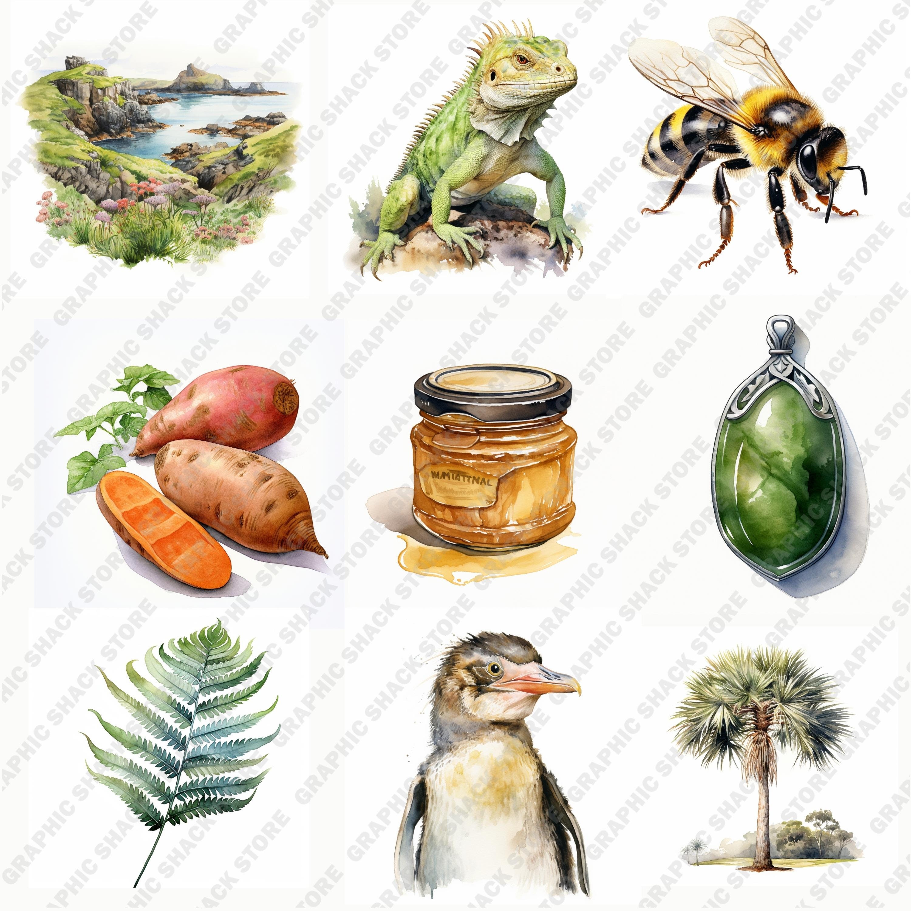 Watercolor New Zealand Clipart Bundle 164 New Zealand Summer Travel ...