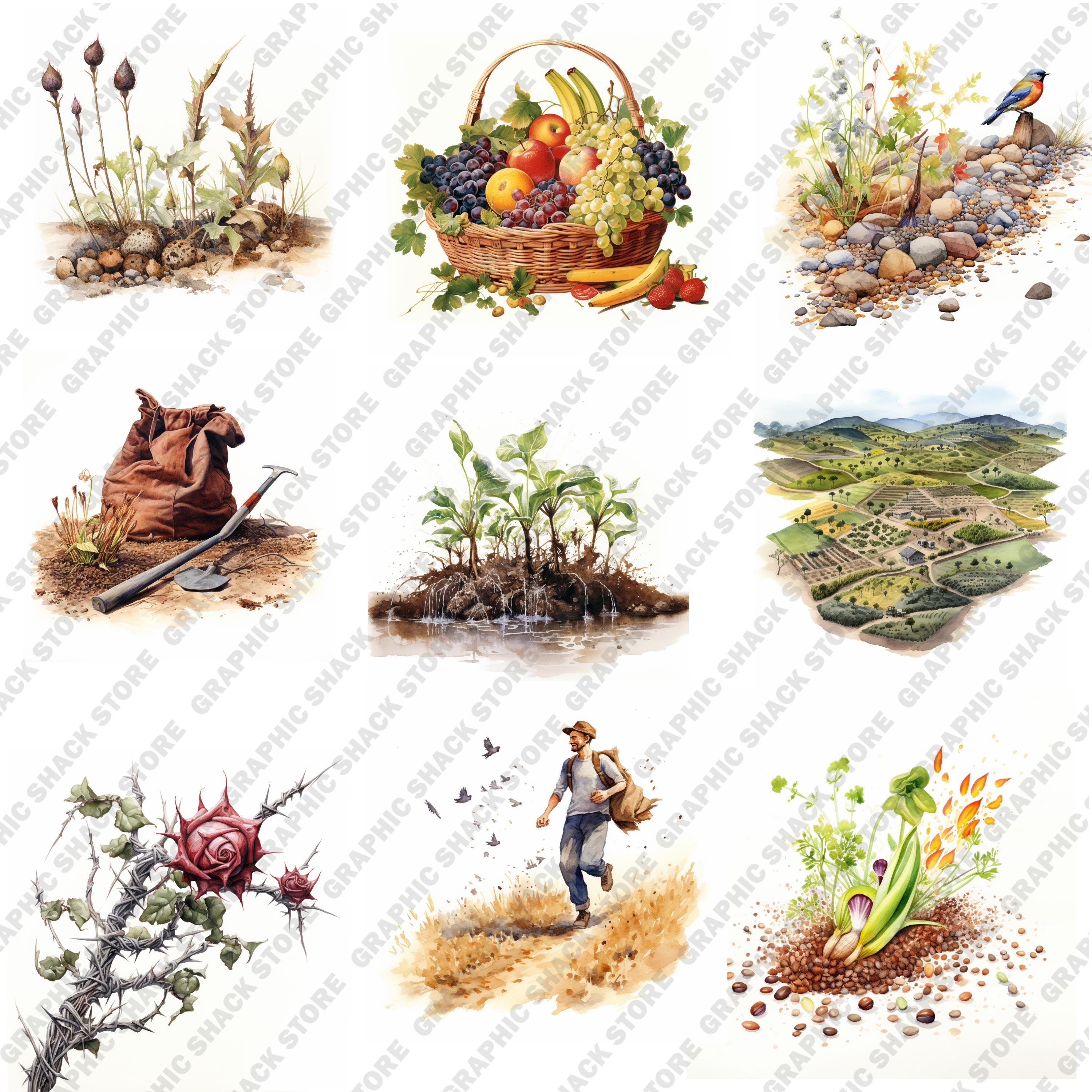 77 PNG Watercolor Parable of the Sower Clip Art | Christian Religious ...