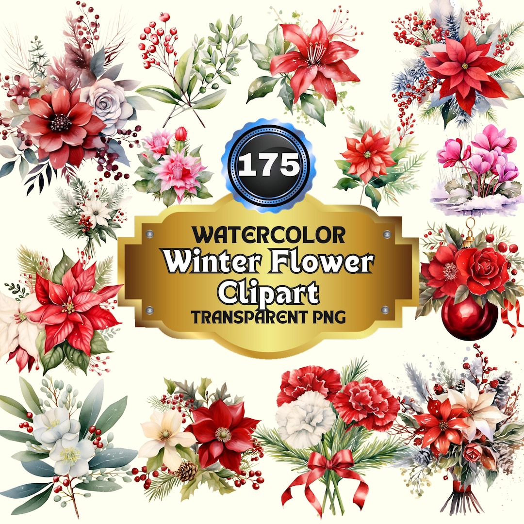 175 Watercolor Winter Flower Clipart Bundle Christmas Floral Graphics ...