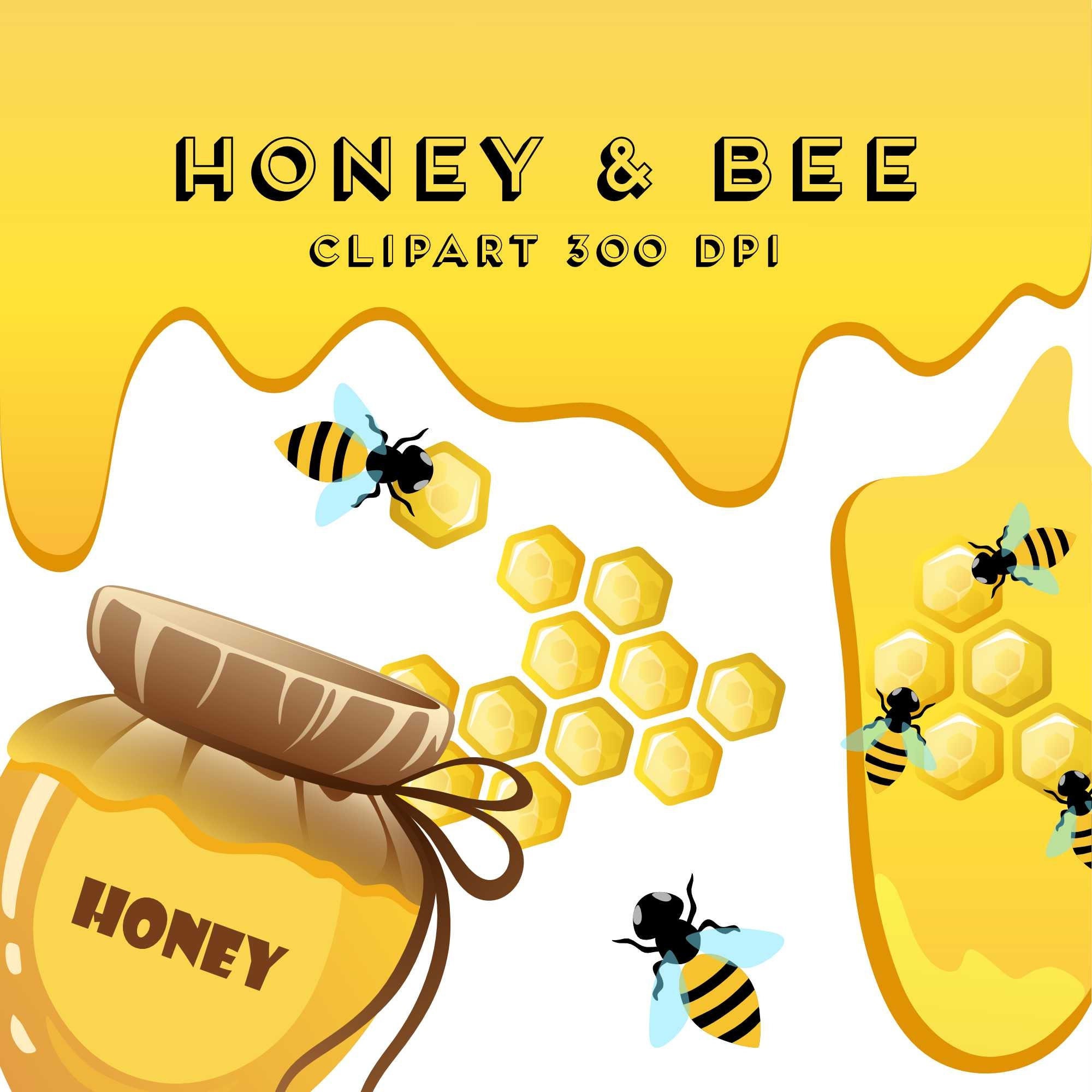 Honey Clipart, Honey Bee Png, Digital Download - Etsy
