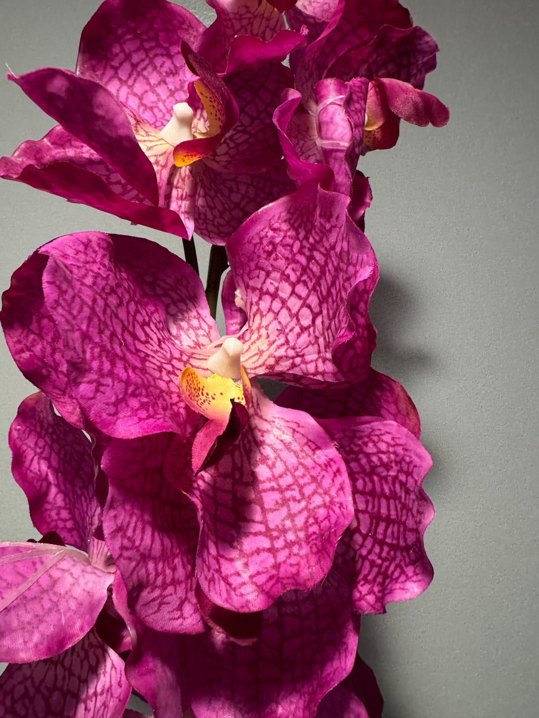 Extra Large Luxurious Real Touch Vanda Orchid With Faux Leaves - Etsy