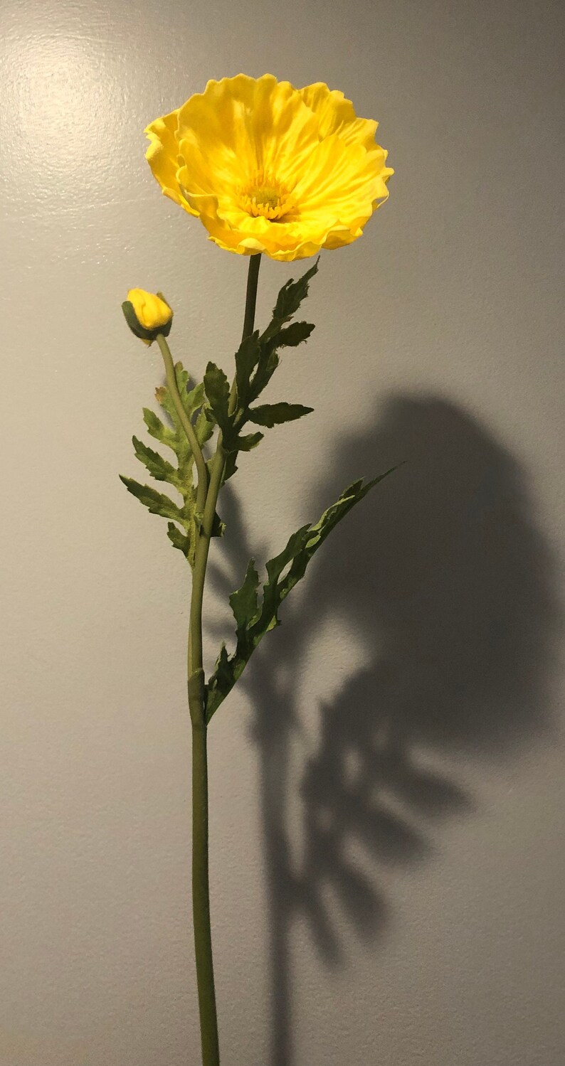 3 Extra Large Real Touch Poppies - Etsy