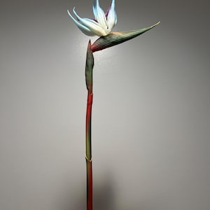 Large Real Touch Bird of Paradise - Etsy