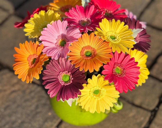 8 Real Touch Gerbera Daisies - Etsy