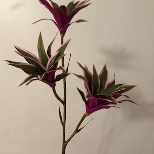 One Extra Large Beautiful Tropical Stem - Etsy