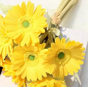 Fiveseasonstuff 7 Stems of Artificial Real Touch Gerbera Flowers ...