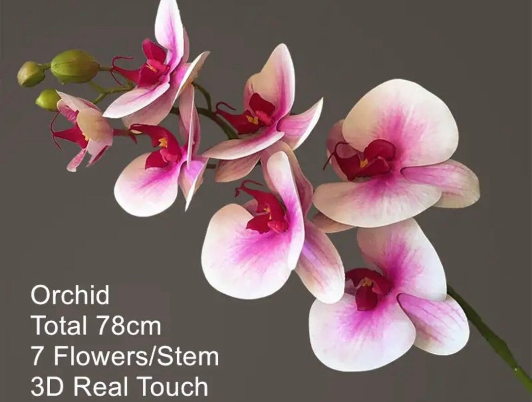 Real Touch Orchid With Faux Leaves - Etsy