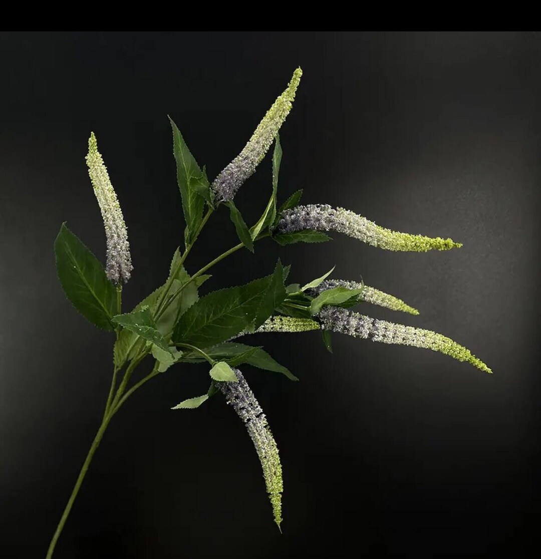 2 Luxurious Stems of Real Touch Sage Grass - Etsy