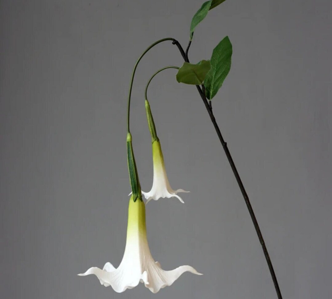 Extra Large Real Touch Angel Trumpet Flowers - Etsy