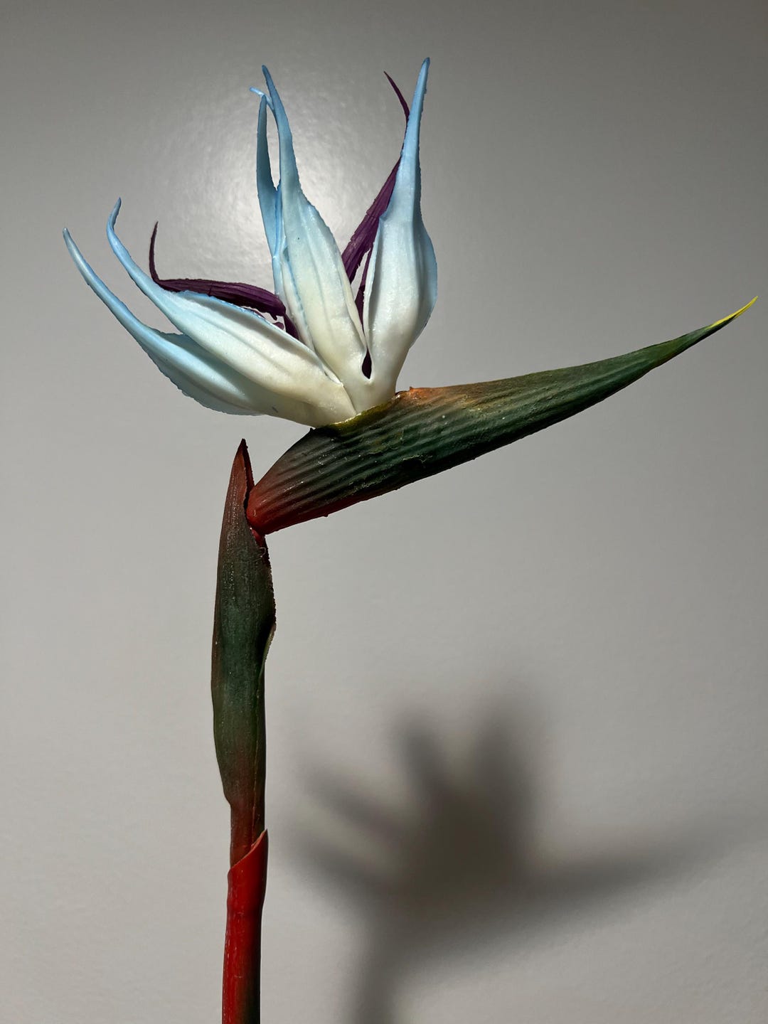 Large Real Touch Bird of Paradise - Etsy