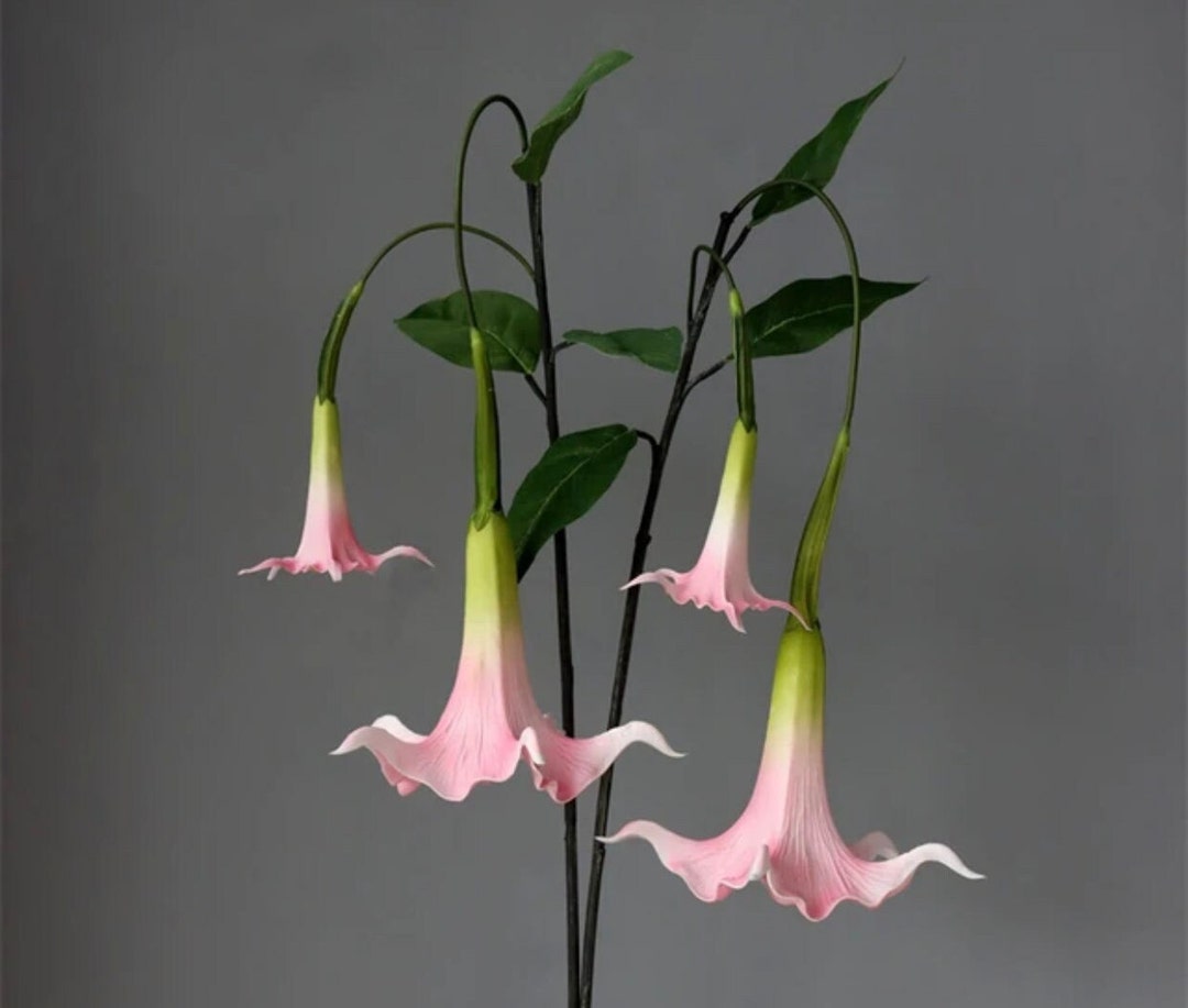 6 Real Touch Angel Trumpet Flowers - Etsy
