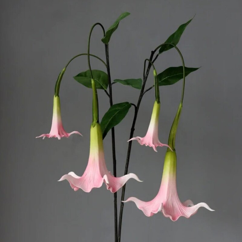 White Trumpet Flower - Etsy