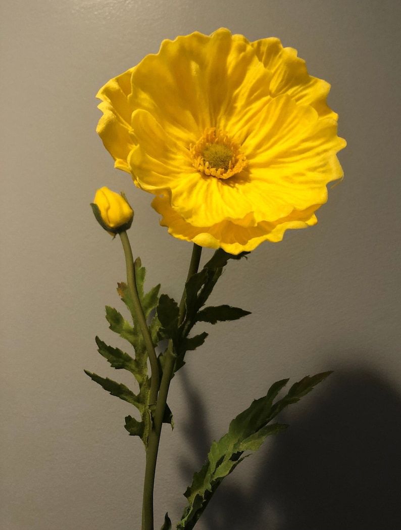 3 Extra Large Real Touch Poppies - Etsy