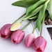 18 Real Touch Tulips - Etsy