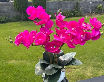 Extra Large Luxurious Real Touch Orchid Arrangement. - Etsy