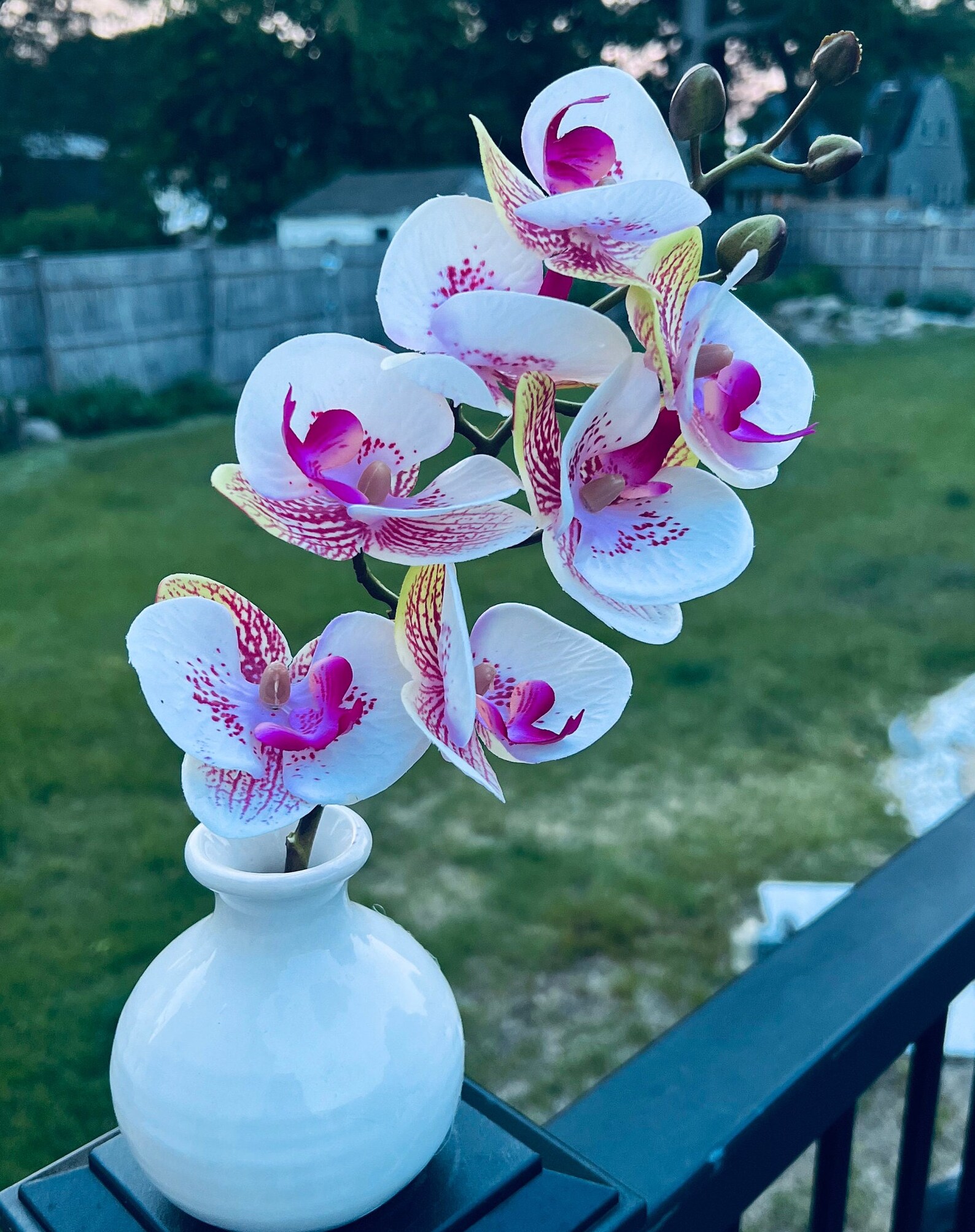 Luxurious Real Touch Orchid Arrangement - Etsy