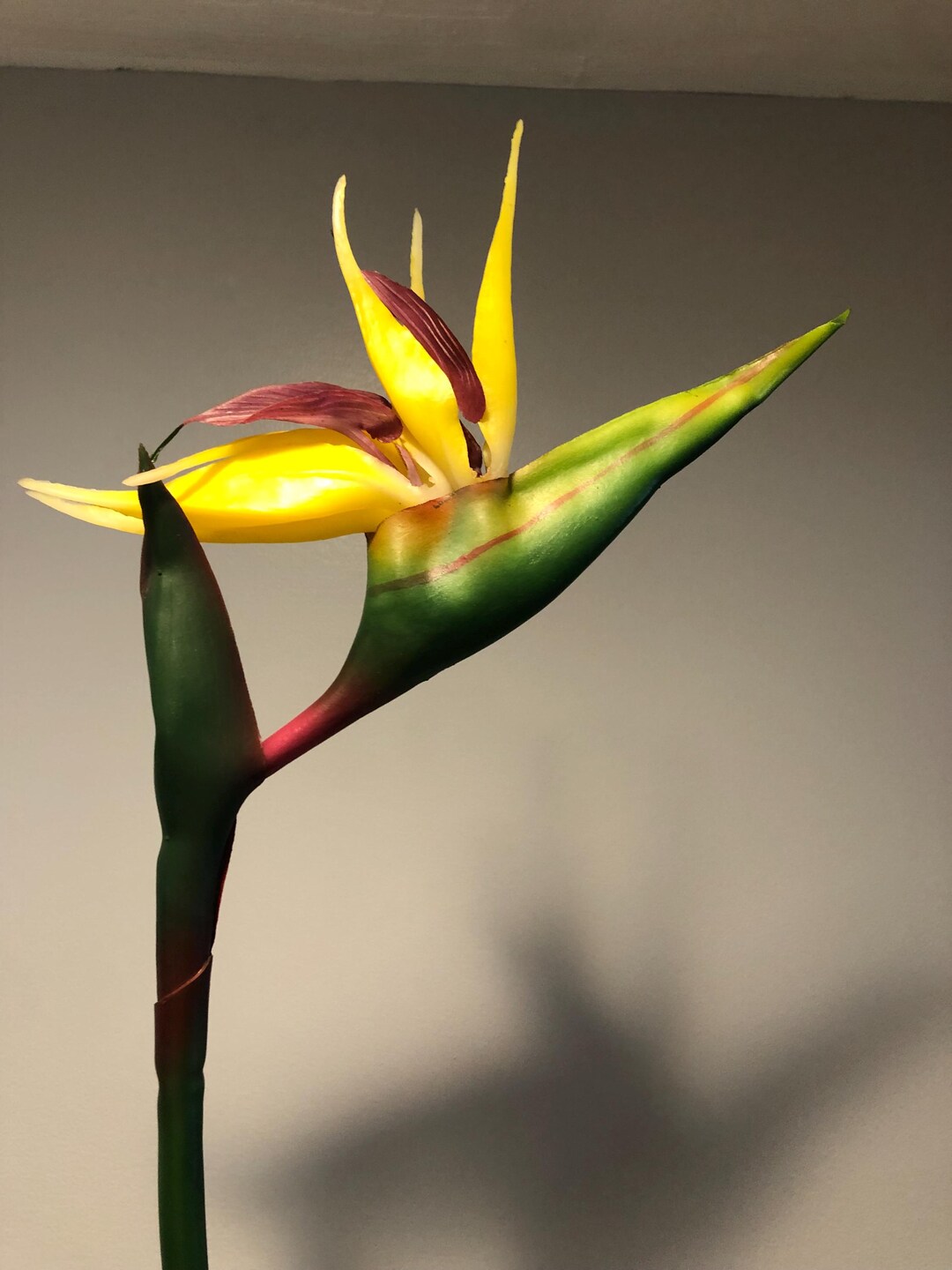 Large Real Touch Bird of Paradise - Etsy