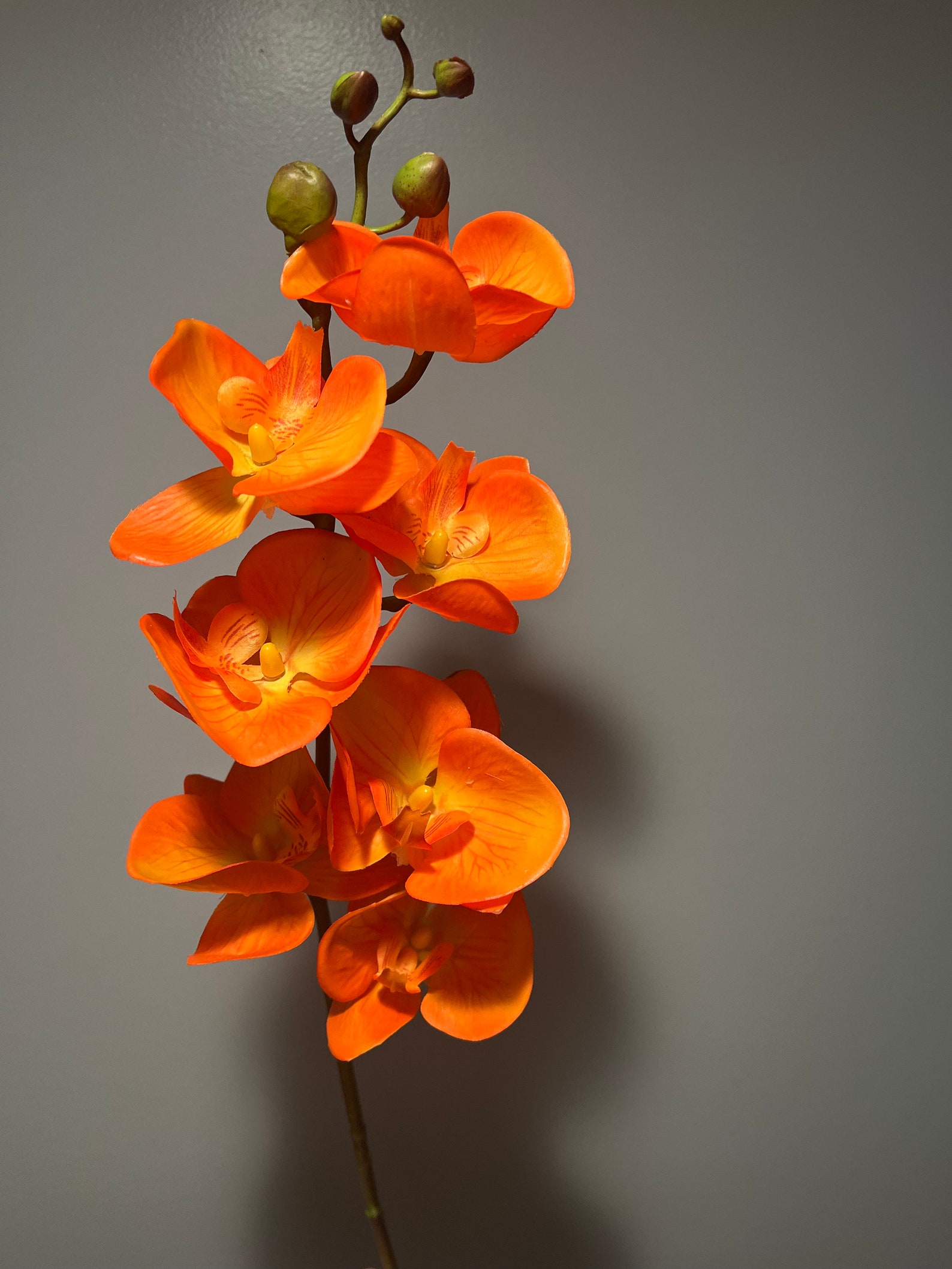 Luxurious Real Touch Orchid With Faux Leaves - Etsy